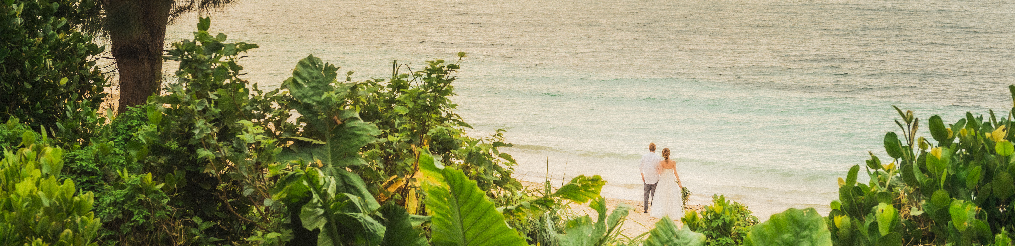 株式会社Cplus | Wedding